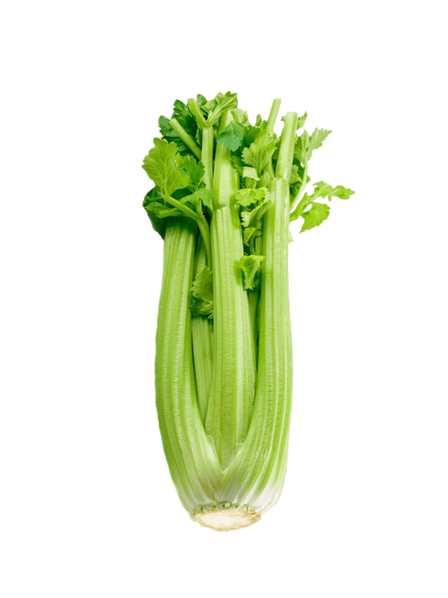 AUSTRALIA CELERY (+/- 500G) – Village Grocer - Tamarind Square