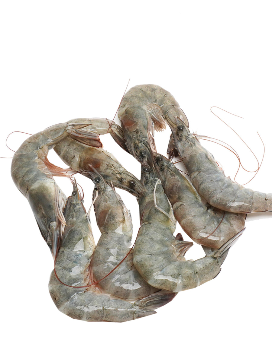 UDANG LAUT BESAR / KING PRAWN L (+/-500G) – Village Grocer - Tamarind ...